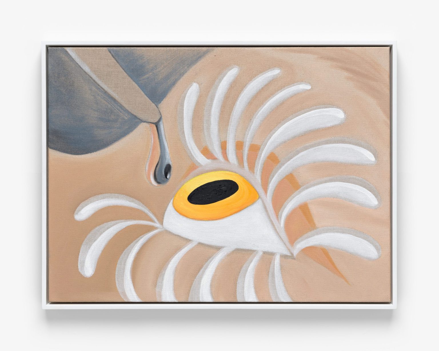 TAI SNAITH - Nicholas Thompson Gallery