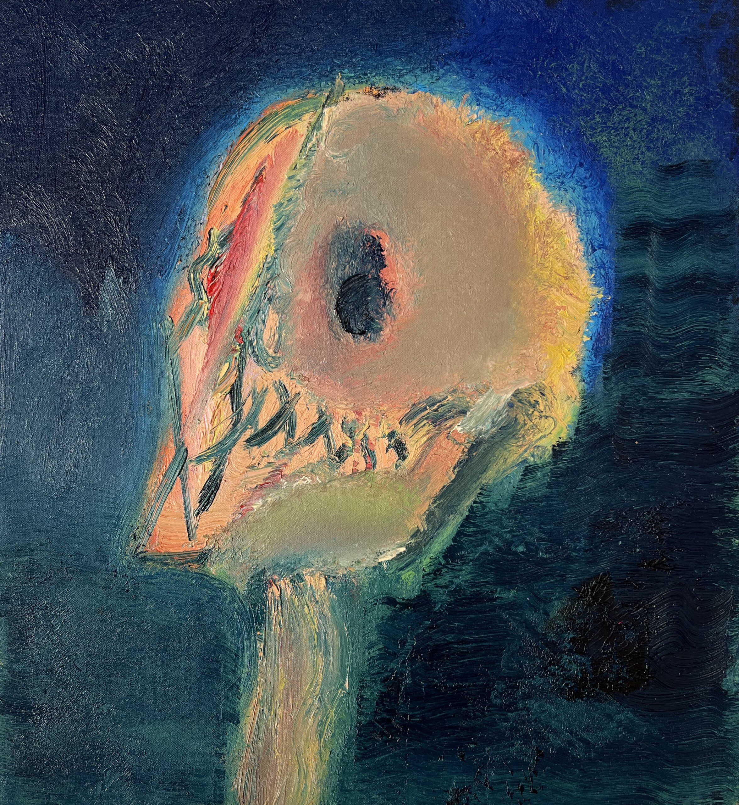 RHYS LEE - Nicholas Thompson Gallery